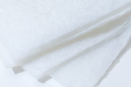 The konjac plant is a humble root vegetable that holds the secret to an ...